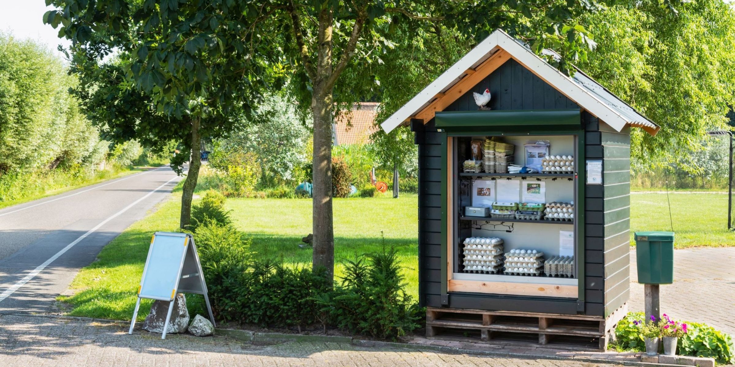 Erdbeeren: Auf dem Acker | Bundeszentrum für Ernährung (BZfE)