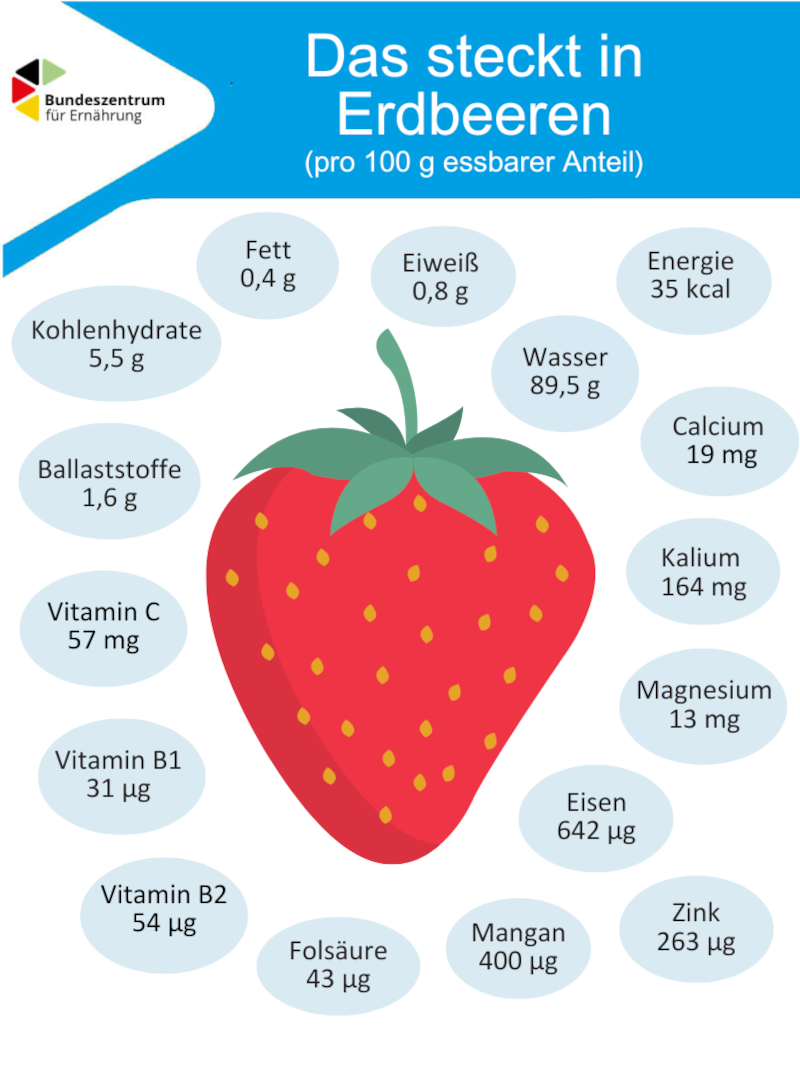 Erdbeeren: Gesundheit und Umwelt | Bundeszentrum für Ernährung (BZfE)